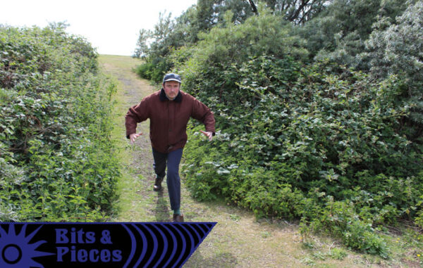 Robert Sotelo – “Caught In A Shape” – Raven Sings The Blues